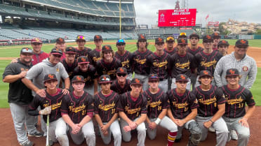 Group Programs | Los Angeles Angels