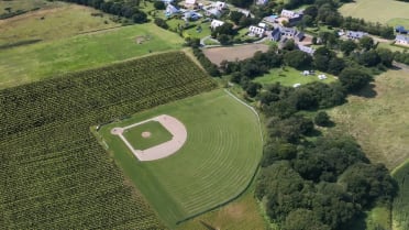 A 'Field of Dreams' in France
