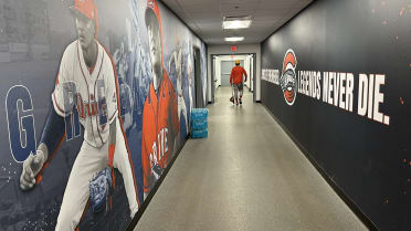 The Baseball Traveler visits Greenville Drive 2025