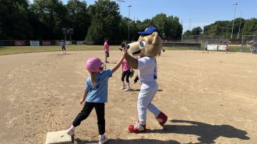 Minor League Baseball clubs PLAY BALL Weekend