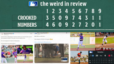 Crooked Numbers and wild moments in Minor League Baseball from May 2026