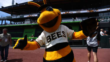 The Baseball Traveler visits the Salt Lake Bees 2025