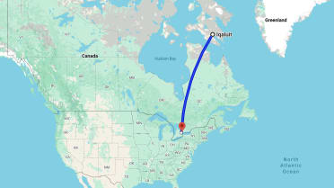 Meet the Blue Jays bar in remote Canada