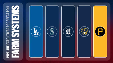 Front office executives poll for farm systems 2026