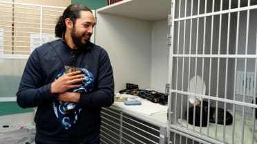 Andrés Muñoz partners with Seattle cat shelter