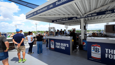 Loge Boxes | Tampa Bay Rays
