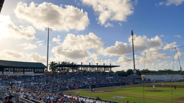 Ticket Mini Plans | Roger Dean Chevrolet Stadium | MLB.com