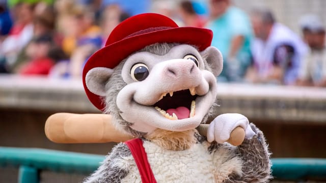 Best mascots in Minor League Baseball
