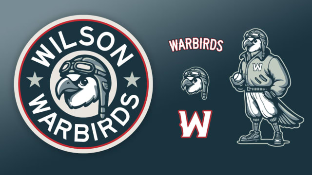 New Minor League team names and logos for 2026