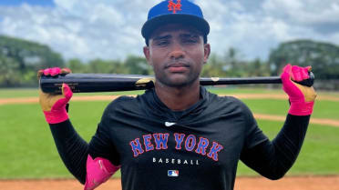 Mets Top Prospects | MiLB.com