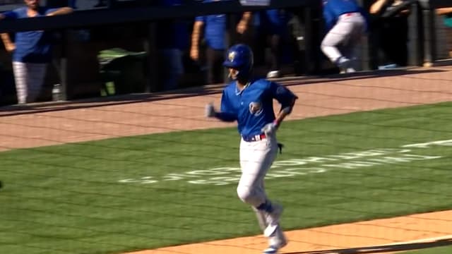 Cubs Top Prospects | MiLB.com