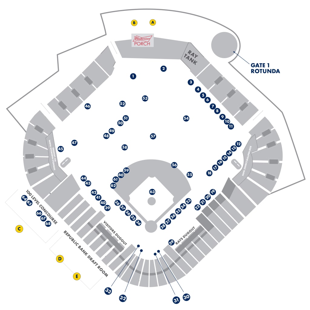 Rays Fan Fest Information | Tampa Bay Rays
