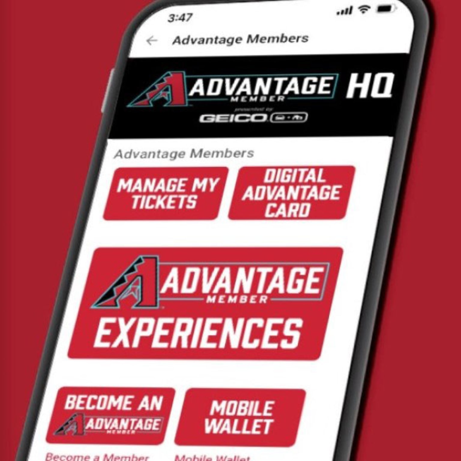 Advantage Member Renewal Information | Arizona Diamondbacks