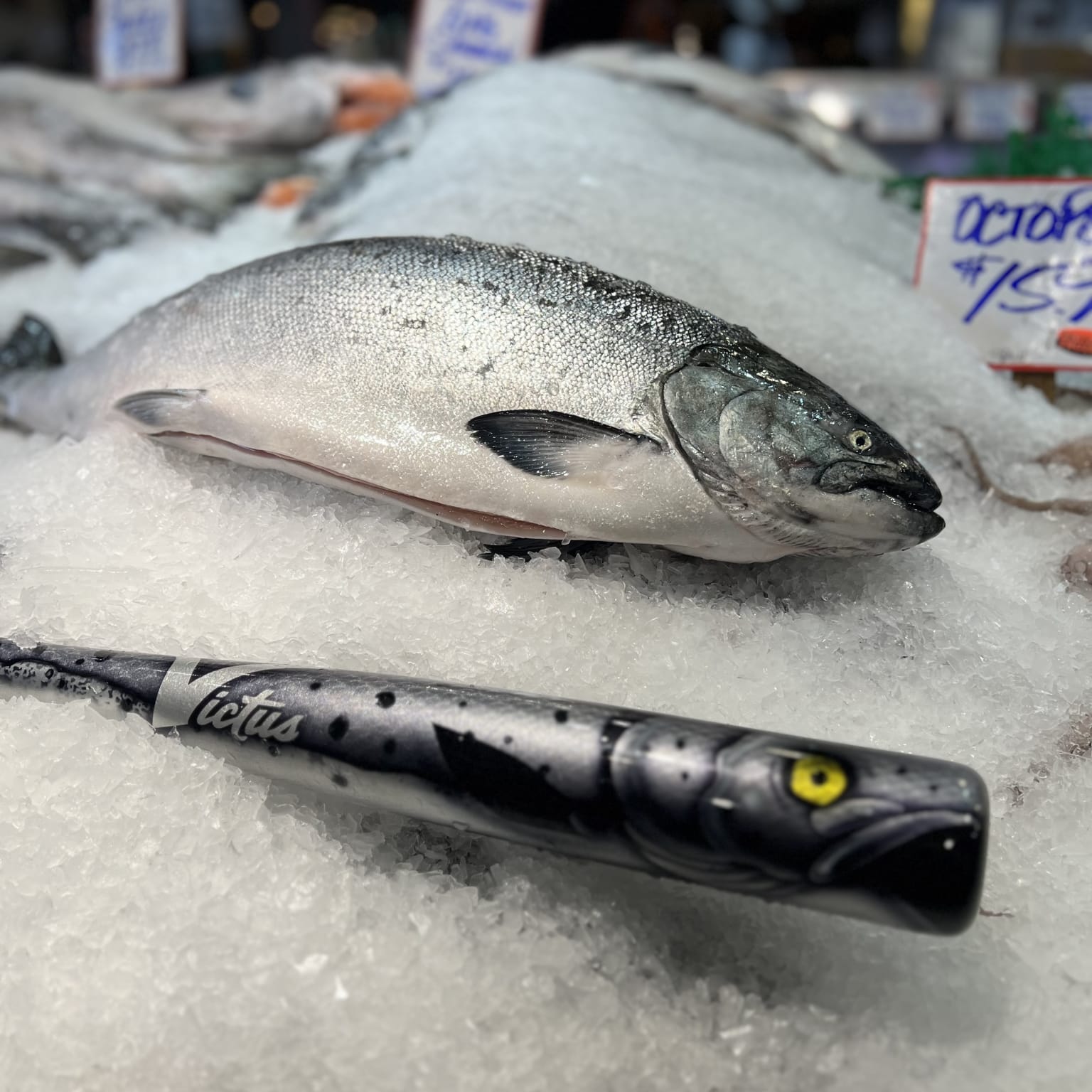 Victus makes pencil baseball bats