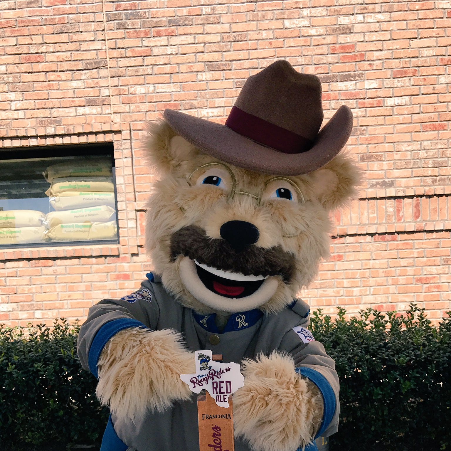 Weird Minor League mascots from every farm system