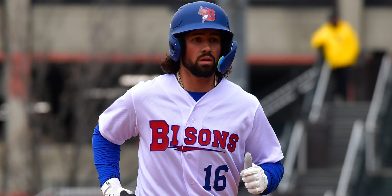 Triple-A game halted after Blue Jays' Payton Henry hit with swing