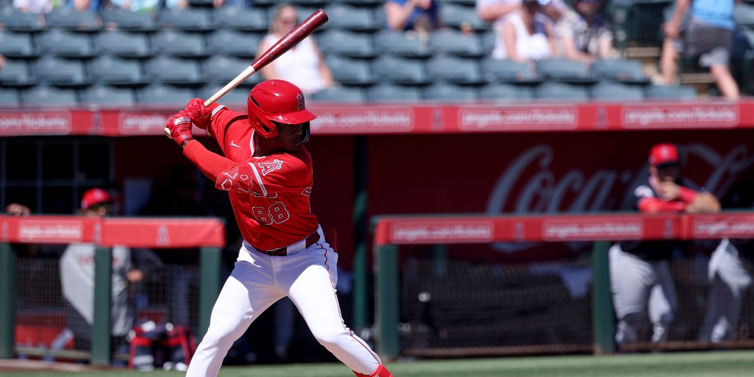 Angels Minor League standouts at each level