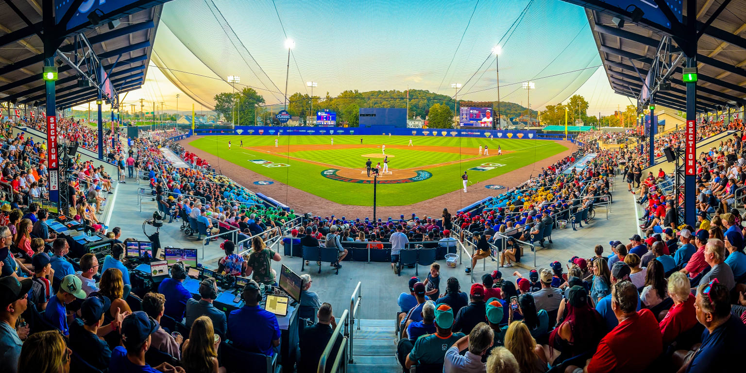 Phillies Celebrate Youth Baseball at the Little League World Series ...