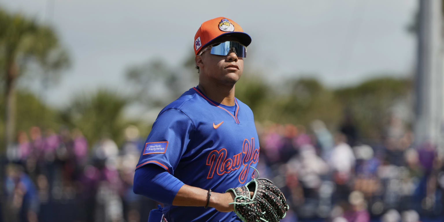 Breakdown of Mets outfield options for 2025 season