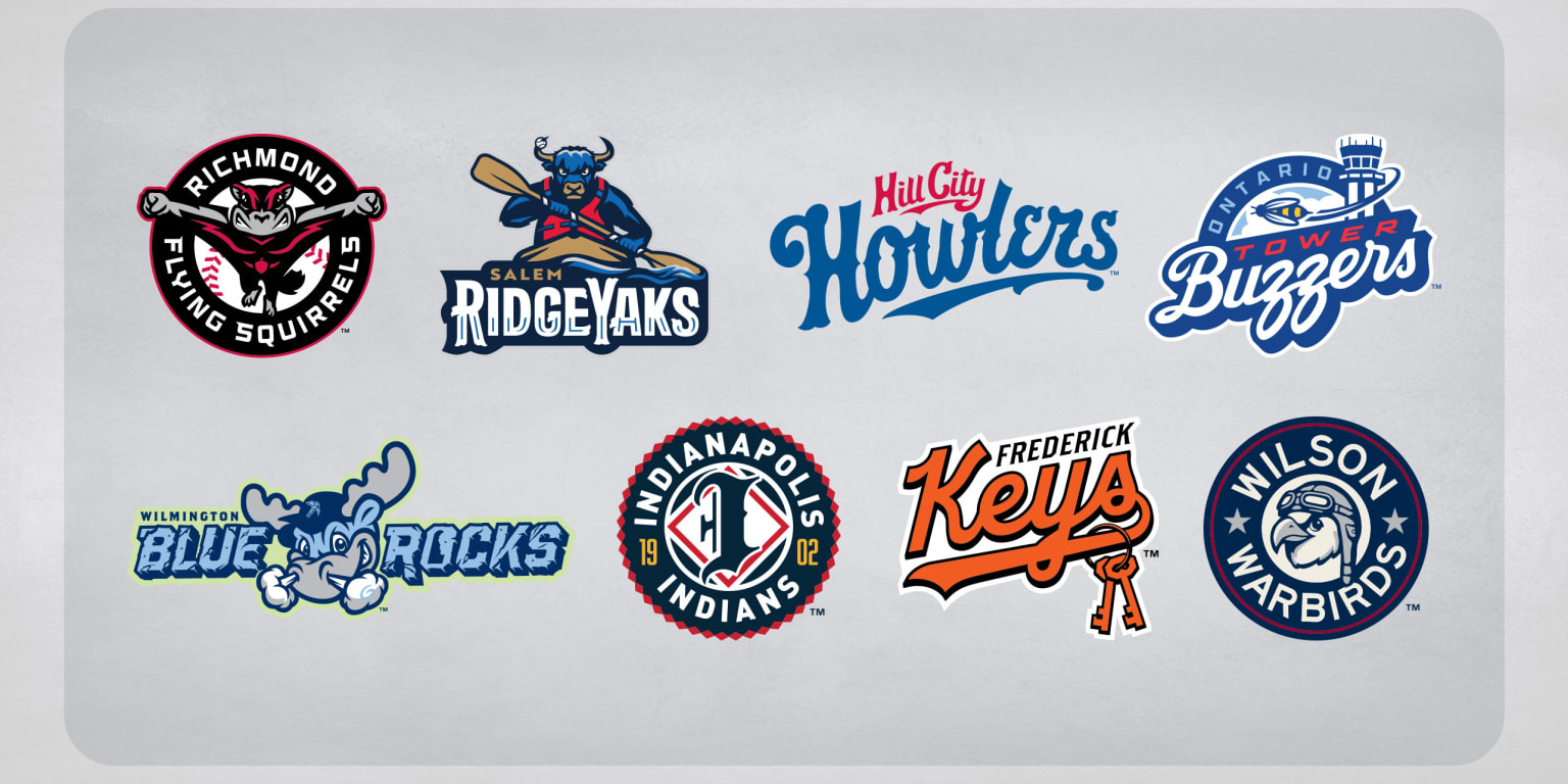 New Minor League team names and logos for 2026