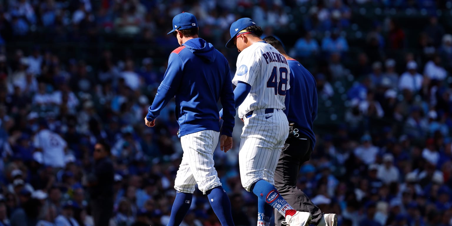 Daniel Palencia goes on IL for Cubs