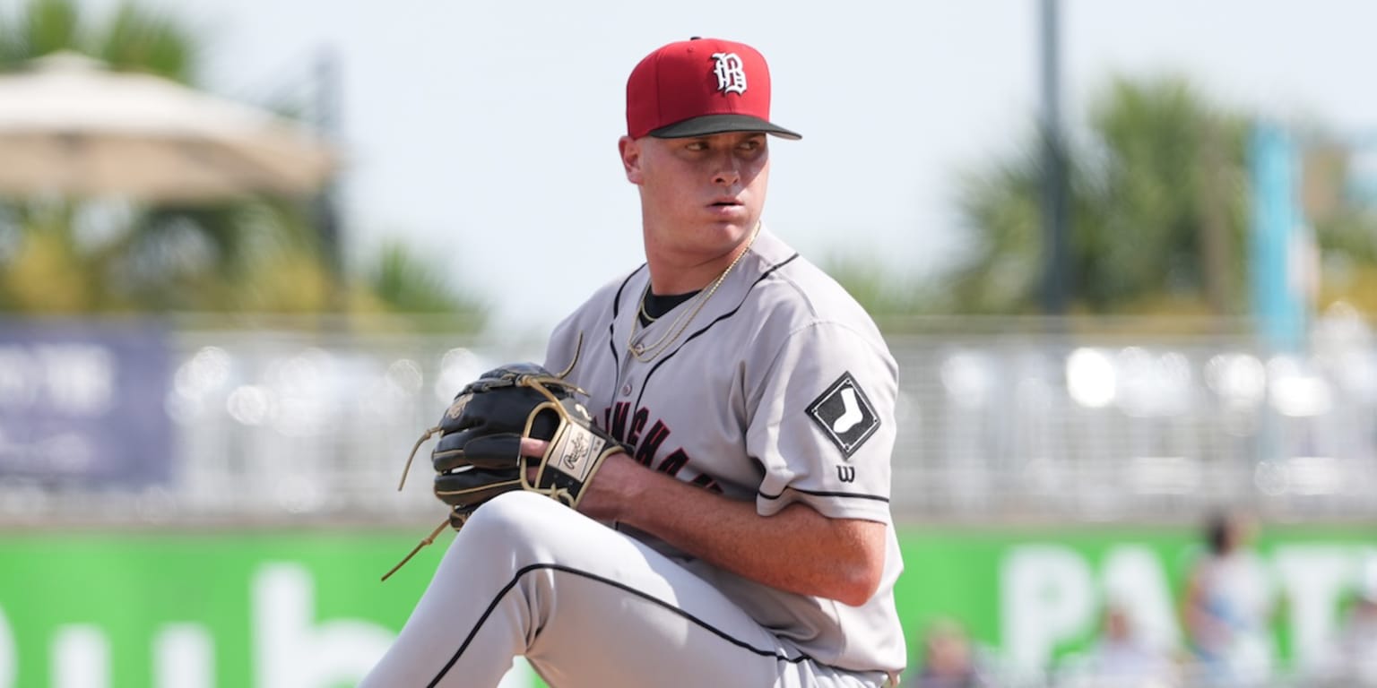 White Sox add Tanner McDougal, Duncan Davitt to 40-man roster