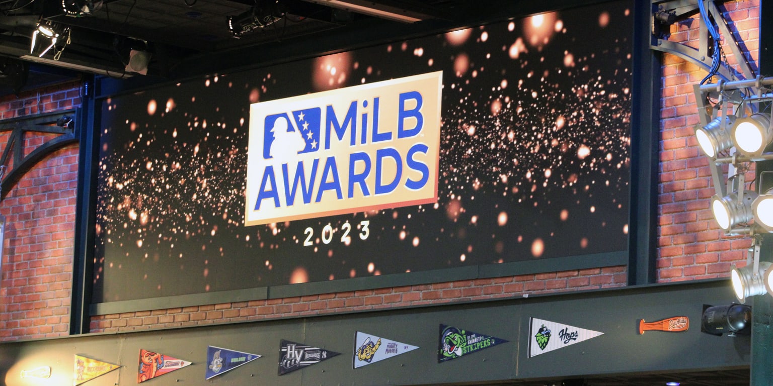 Find out who won the inaugural MiLB Awards – MotownTigers.com