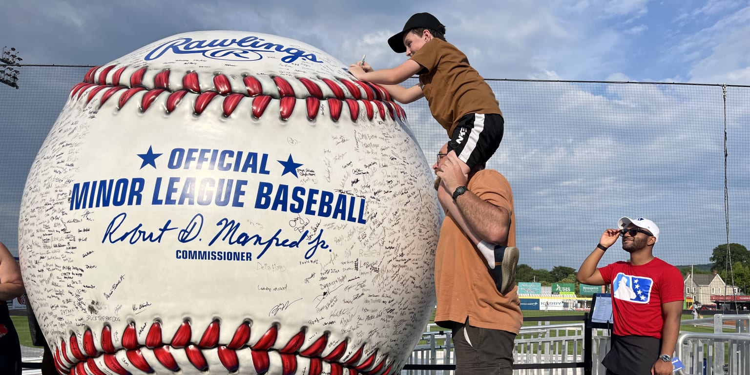 Minor League Baseball's Most Autographed Baseball sets Guinness record