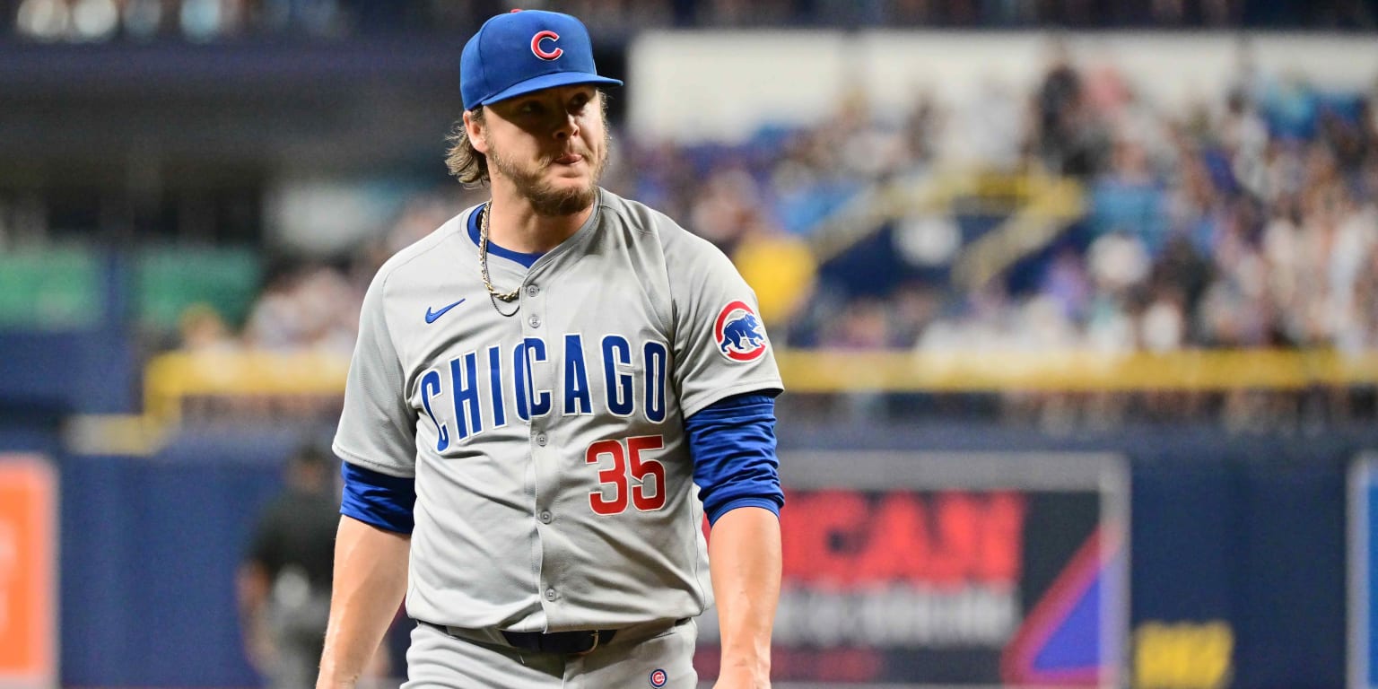 Cubs allow late rally in loss to Rays