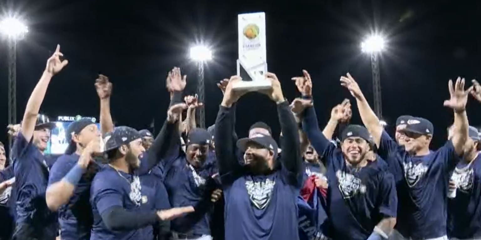 Tigers Single-A affiliate wins Florida State League championship