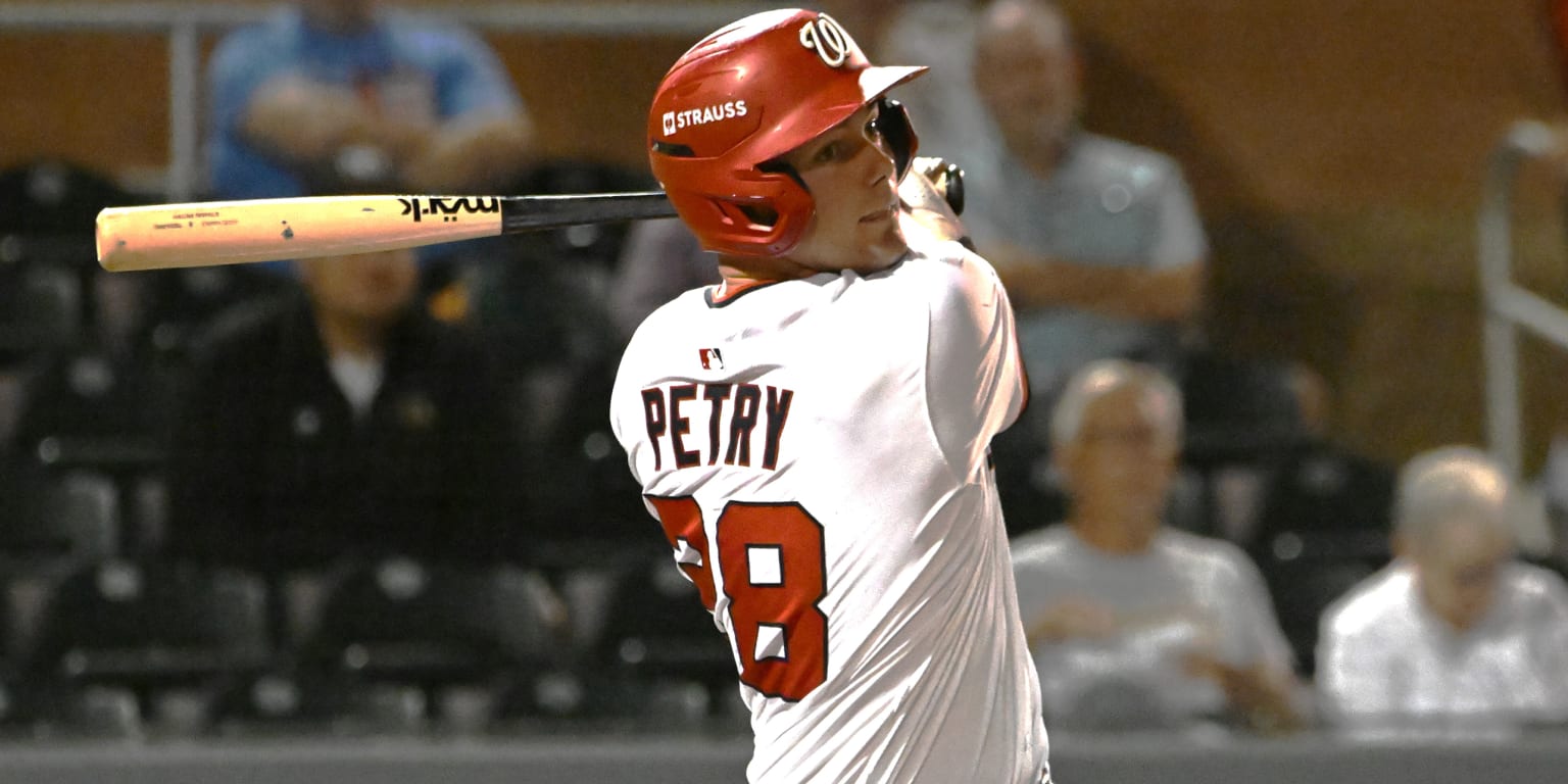 Nationals prospect Ethan Petry homers twice on birthday
