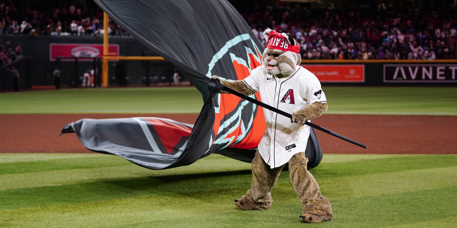 D-backs bring back Ballpark Pass for 2026 season
