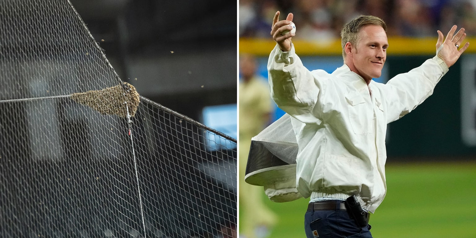 Dodgers, Diamondbacks game delayed by bees