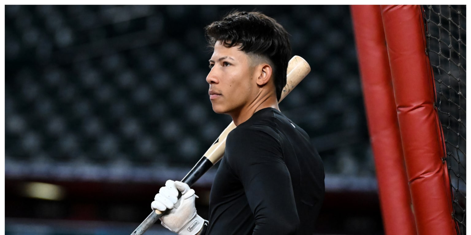 Tras su eléctrico debut en MLB, ¿podrá Fernández mantenerse en ...