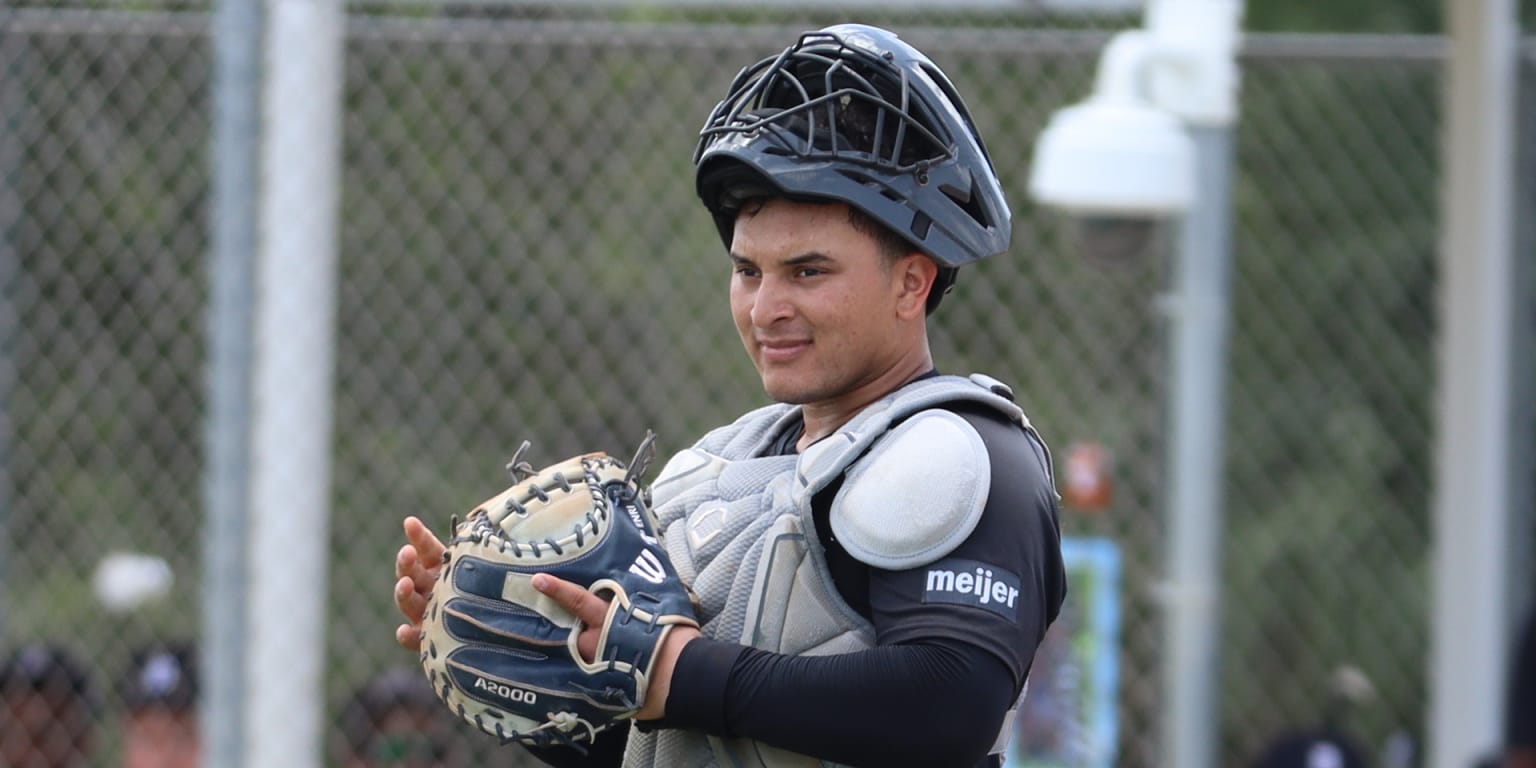 Twins trade Chris Paddack, Randy Dobnak to Tigers