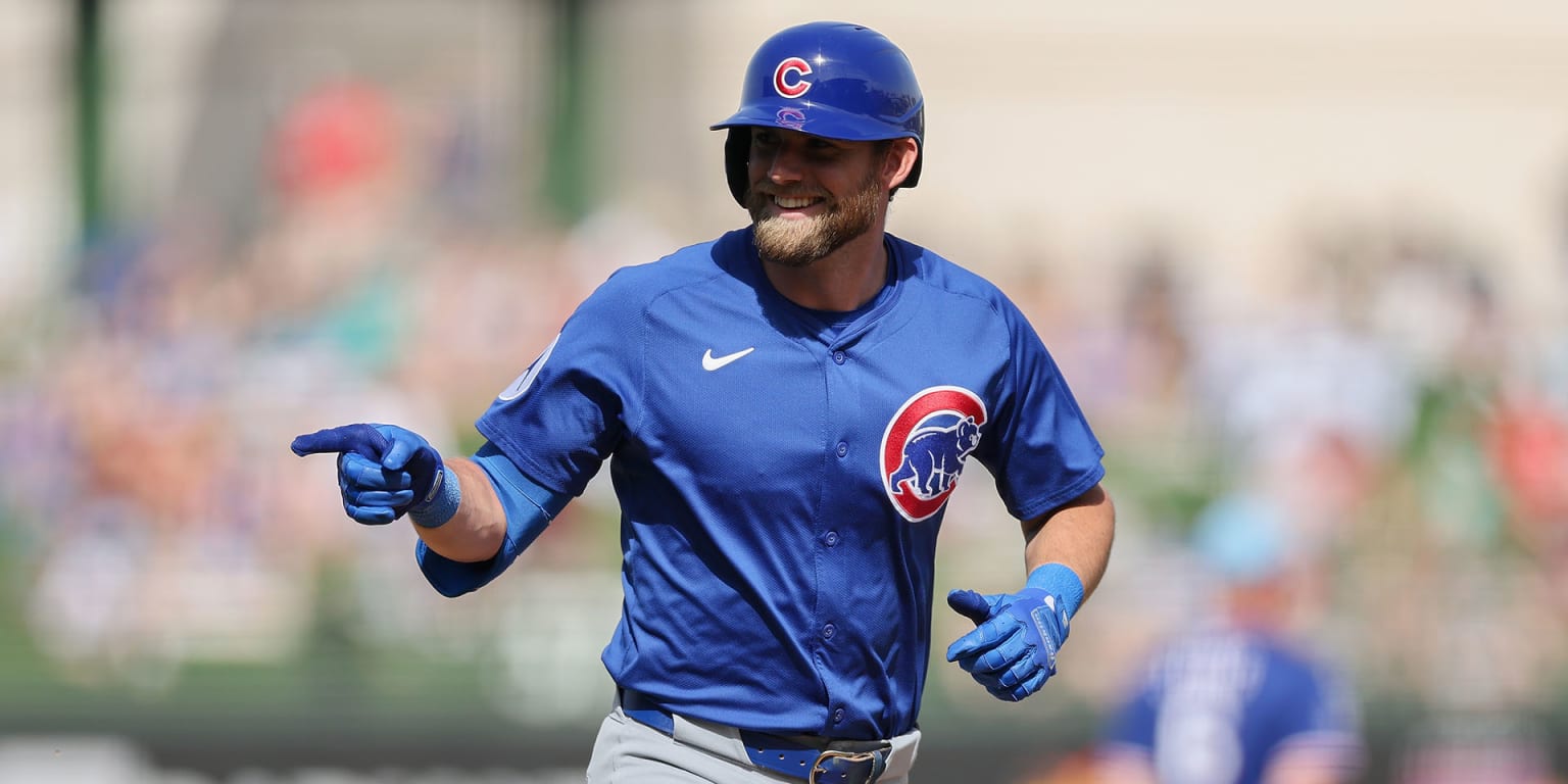 Gage Workman off to hot start for Cubs in Spring Training