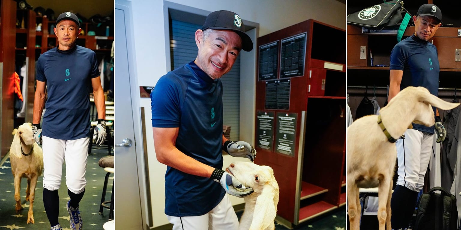 Mariners Commercials returns with Ichiro and real live goats