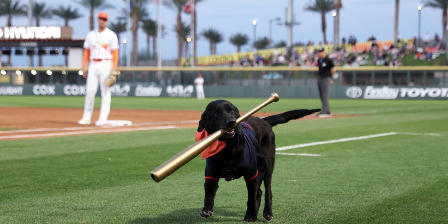 Minor League bat dog retires from Las Vegas team