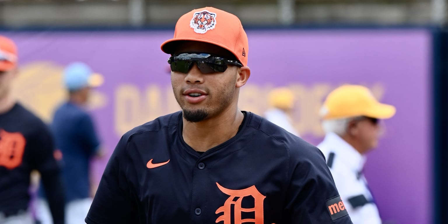 Tigers' center-field mix in Spring Training