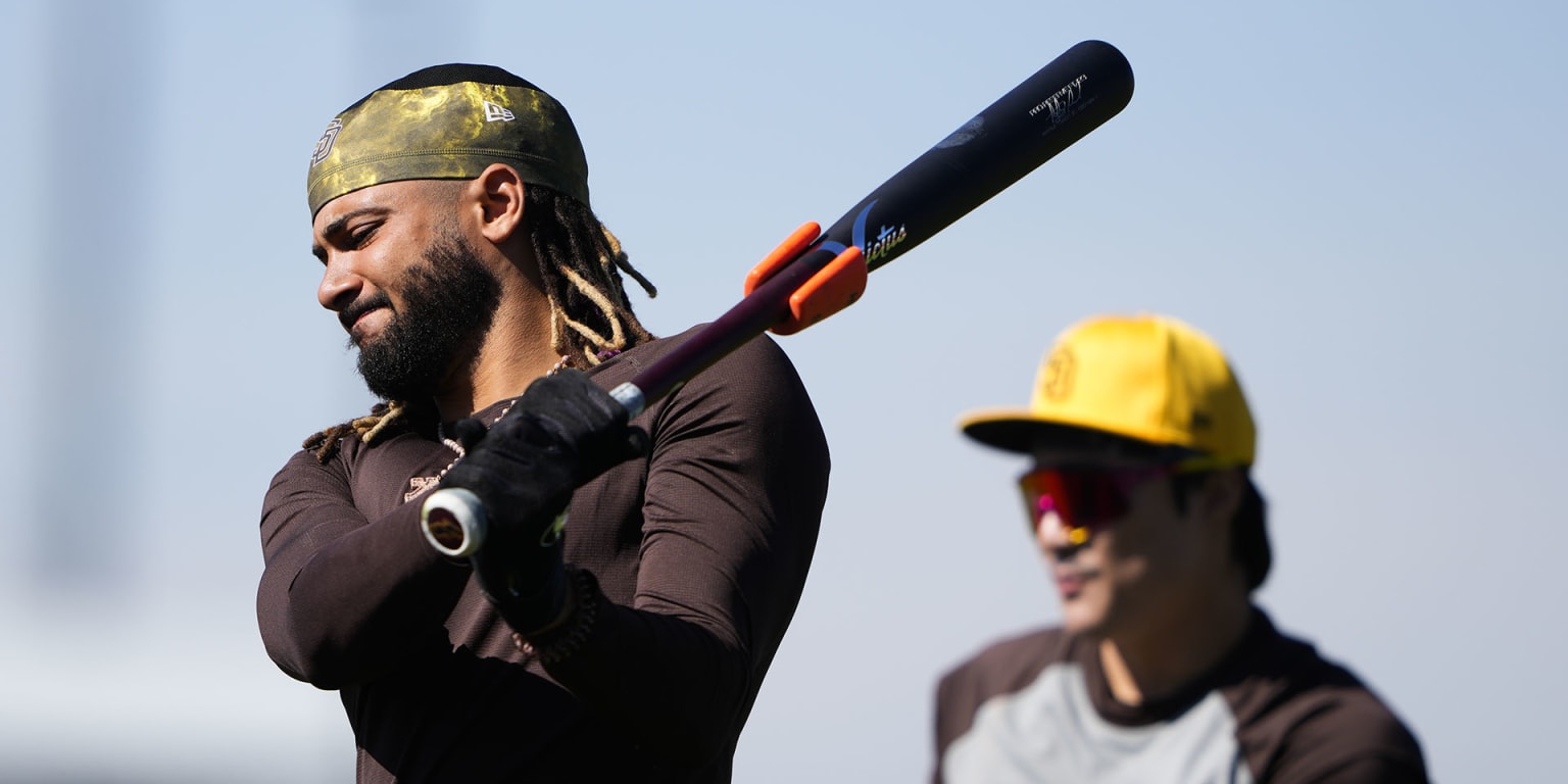 Padres' outfield options besides Fernando Tatis Jr. Padres' outfield options besides Fernando Tatis Jr.