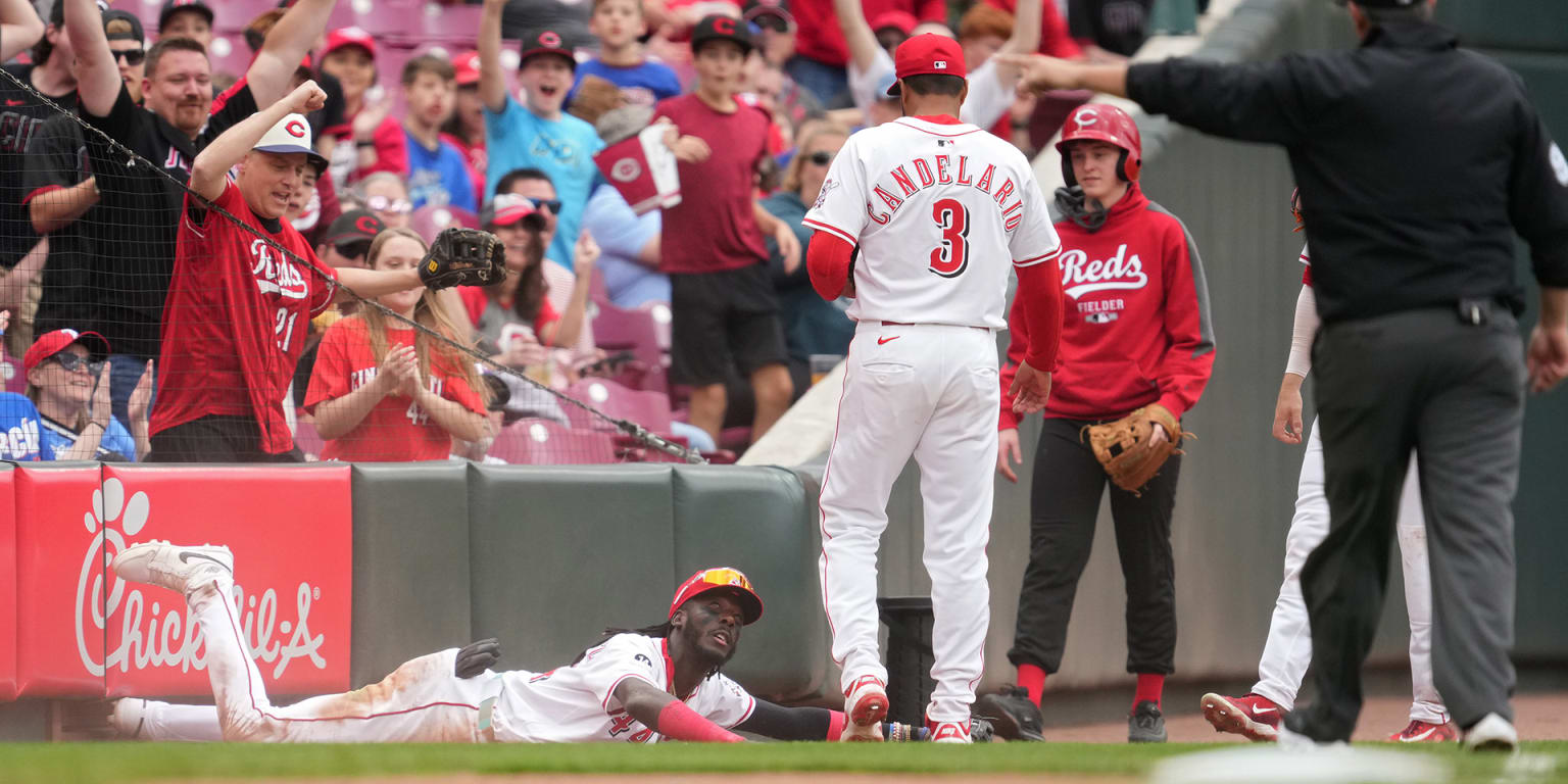 Elly De La Cruz makes incredible sliding catch