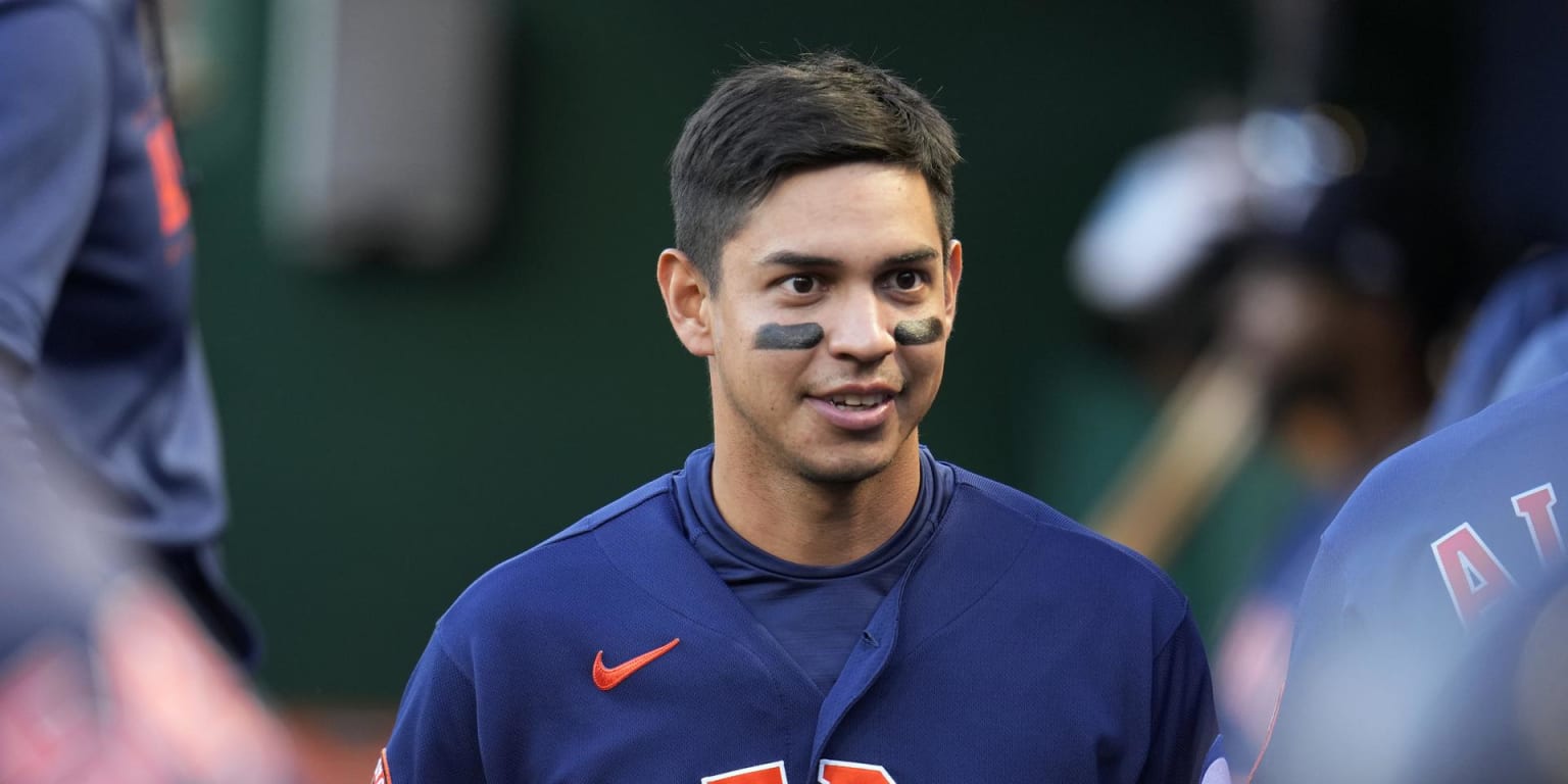 Mauricio Dubón, Chas McCormick impressing Astros