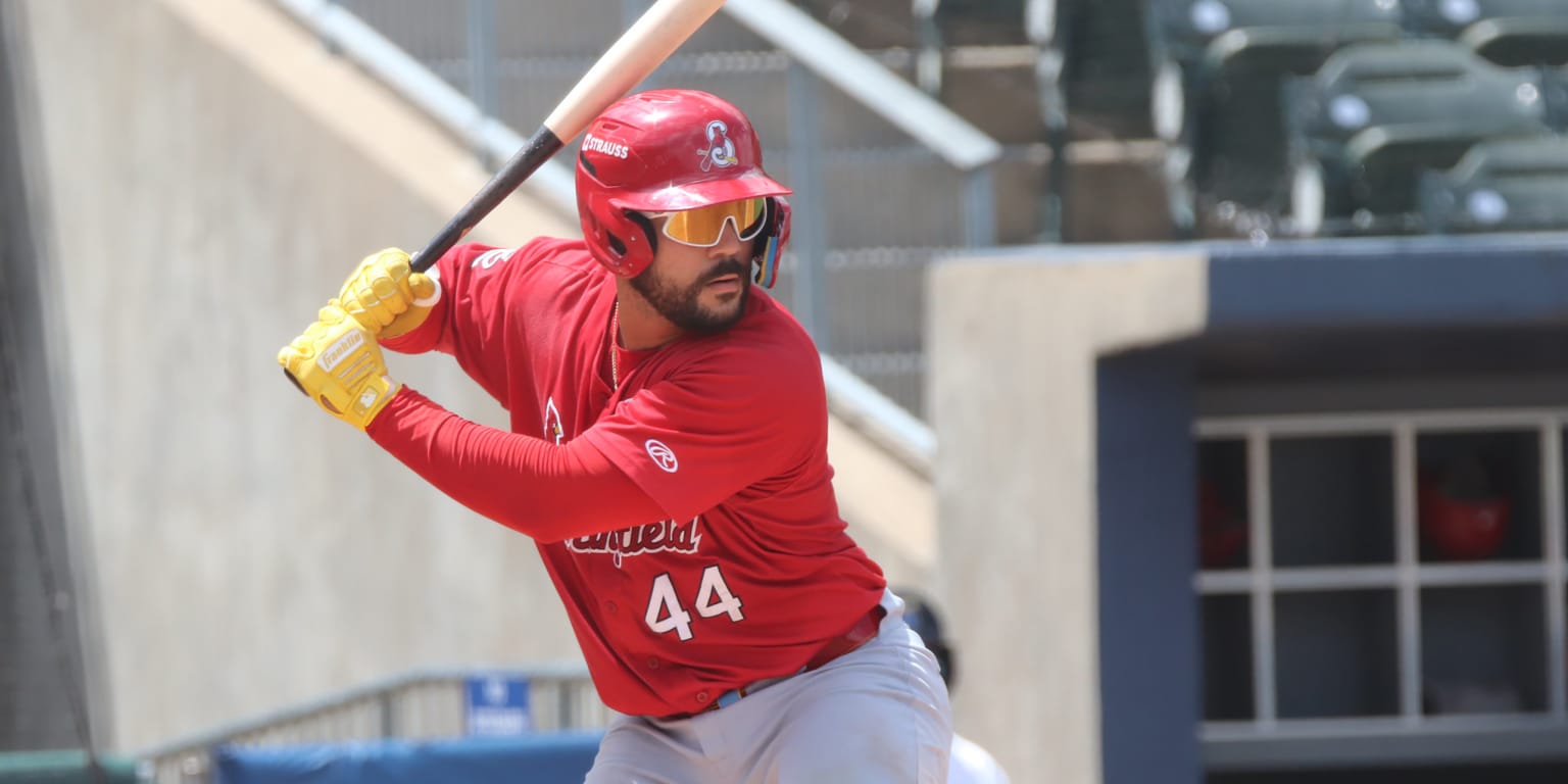 Leonardo Bernal, three others added to Cardinals' 40-man roster