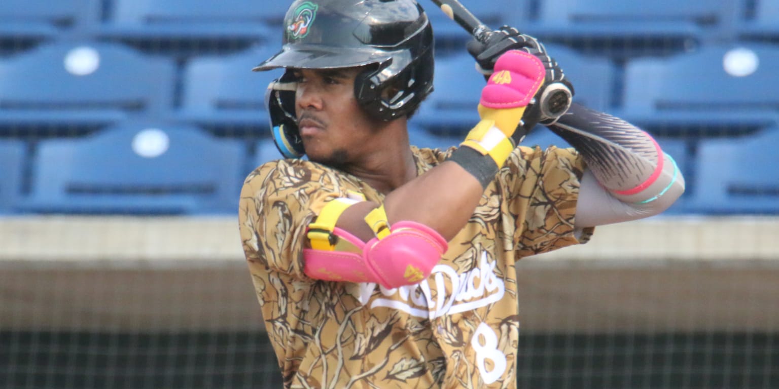 Gleider Figuereo on path to carving own legacy in pro baseball