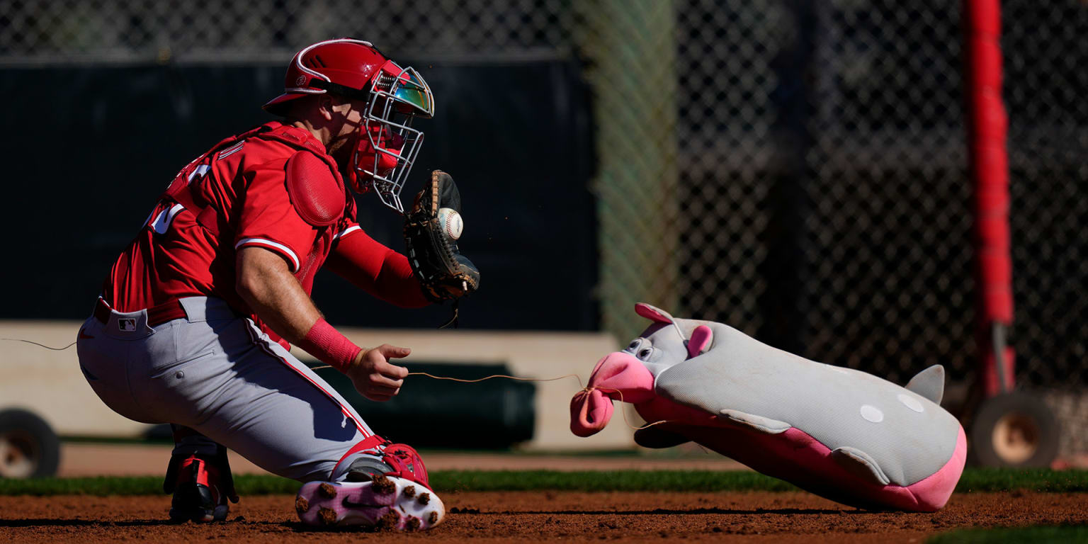 Reds catching drill with toy hippo