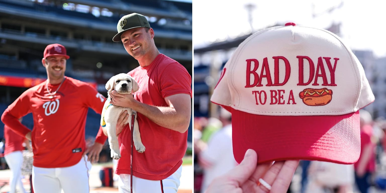 Natty the Puppy Debuts at Nats Park's Hot Dog Night Bash! - BVM Sports