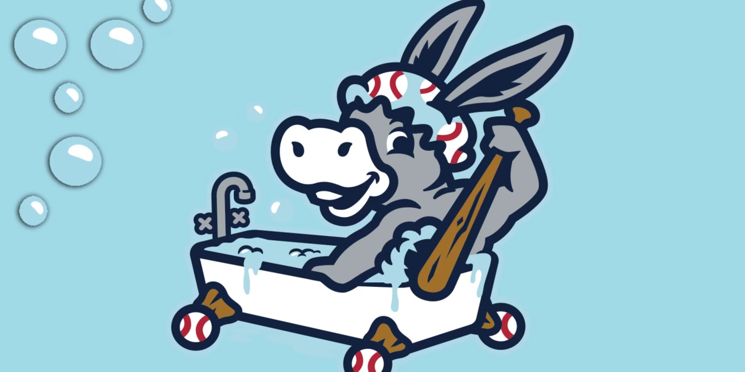 Mets' Minor League team plays as Binghamton Bathtub Donkeys the Baseball Traveler