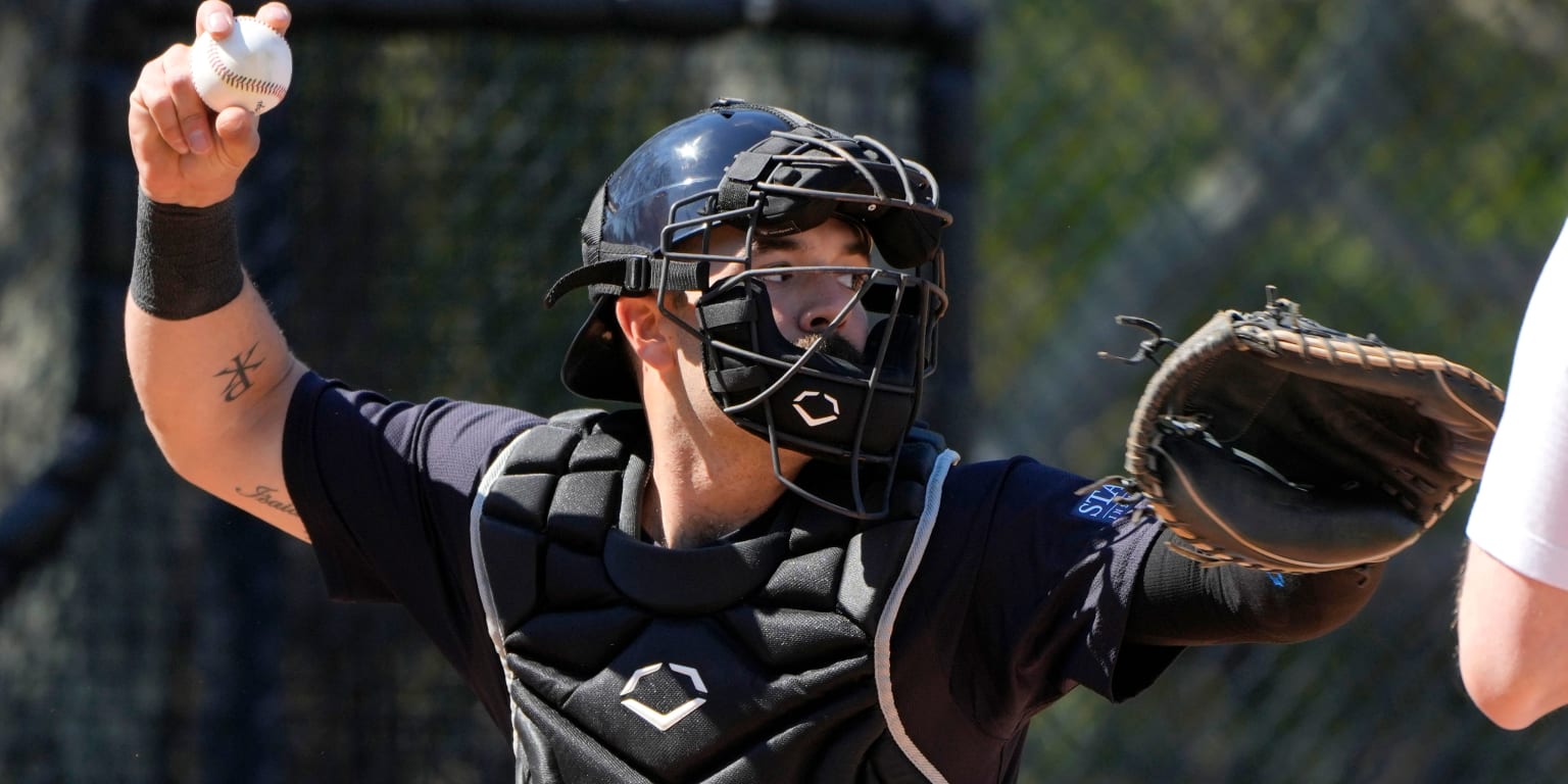 How Austin Wells matches up with Gerrit Cole