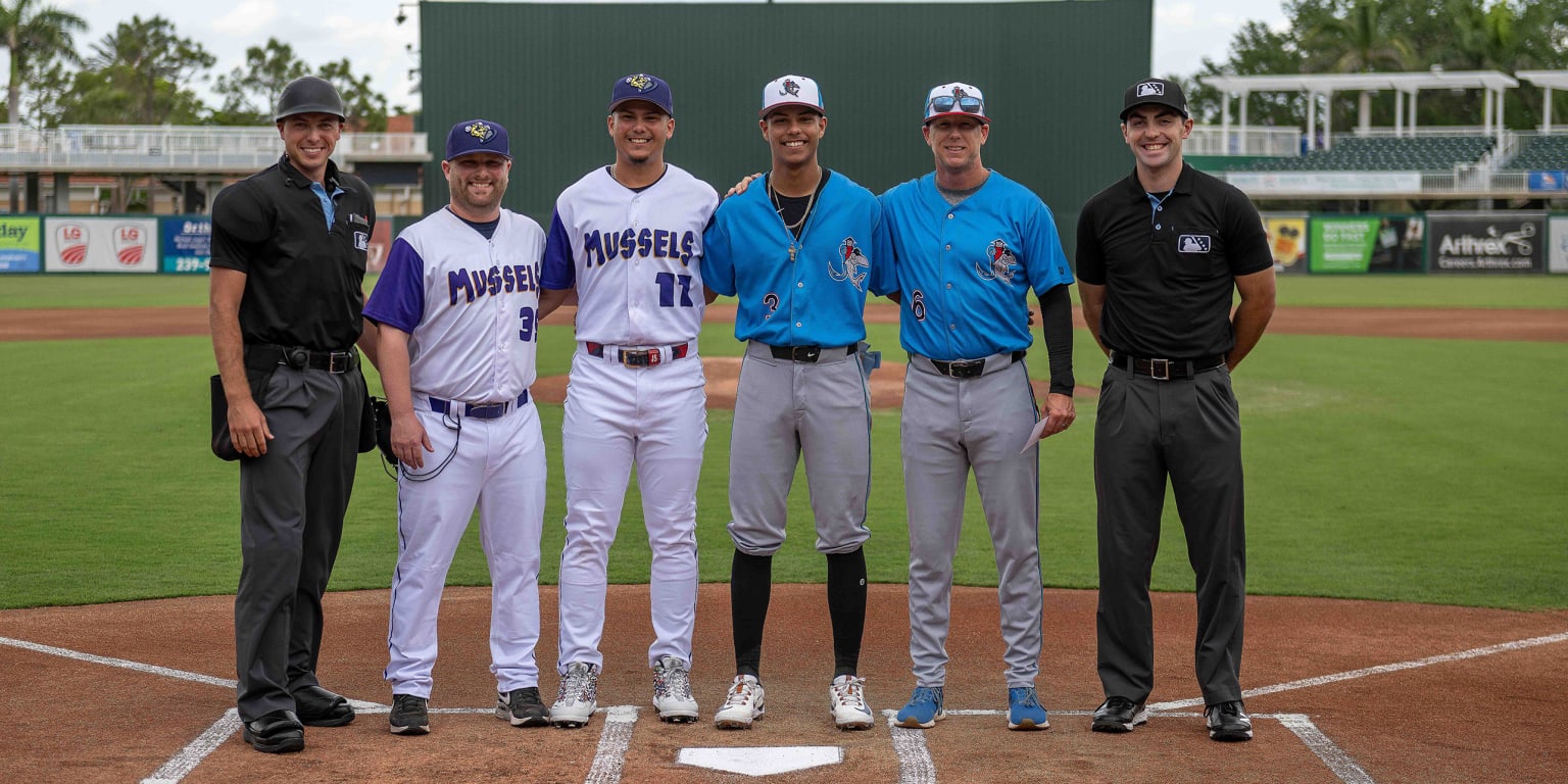 Brothers Jose and Andrew Salas face each other in pro baseball
