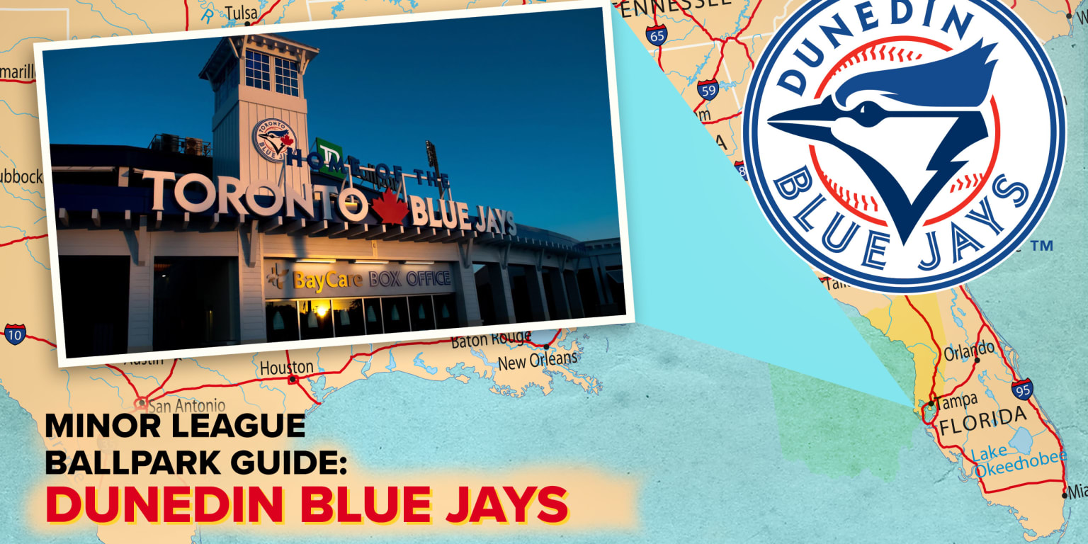 Explore TD Ballpark home of the Dunedin Blue Jays | MiLB.com